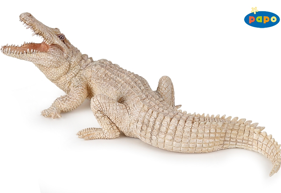 Papo White Crocodile Figure – Comaco Toys